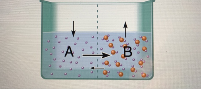 Solved А Multiple Choice O in equilibrium with O isotonic | Chegg.com