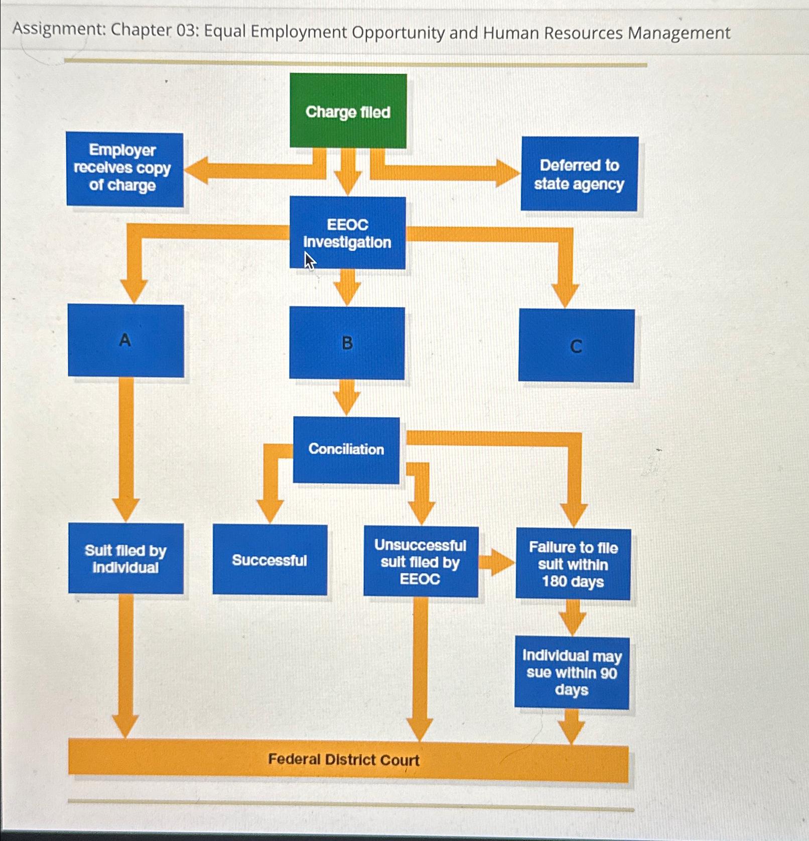 Solved Assignment: Chapter 03: Equal Employment Opportunity | Chegg.com