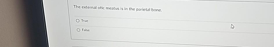 Solved The external otic meatus is in the parietal | Chegg.com