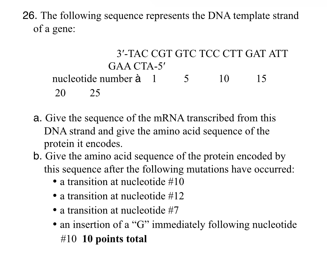 Solved by an EXPERT The following sequence represents the DNA template | Chegg.com