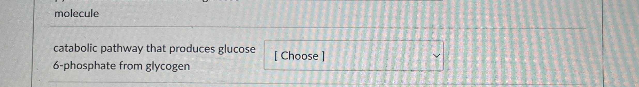 Solved moleculecatabolic pathway that produces glucos | Chegg.com