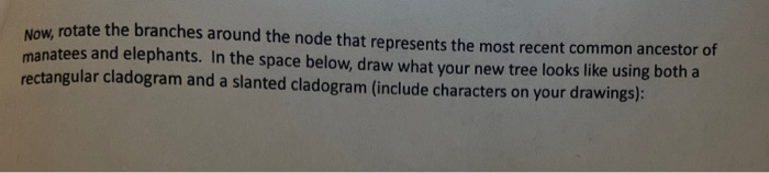 Use the character matrix below to construct a | Chegg.com