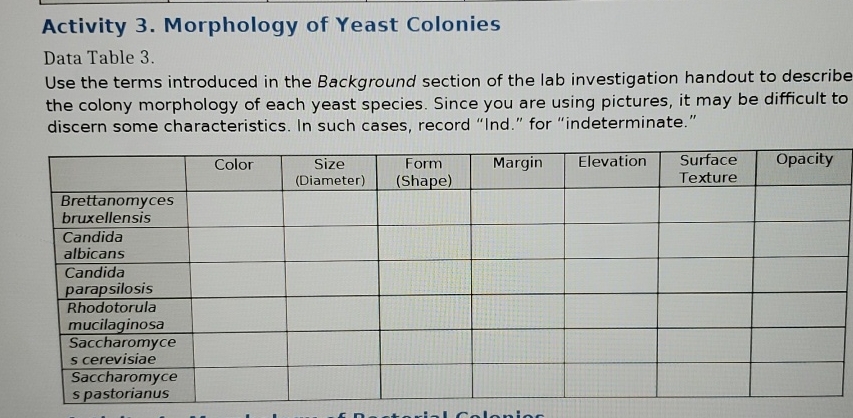 Solved Activity 3. ﻿Morphology of Yeast ColoniesData Table | Chegg.com