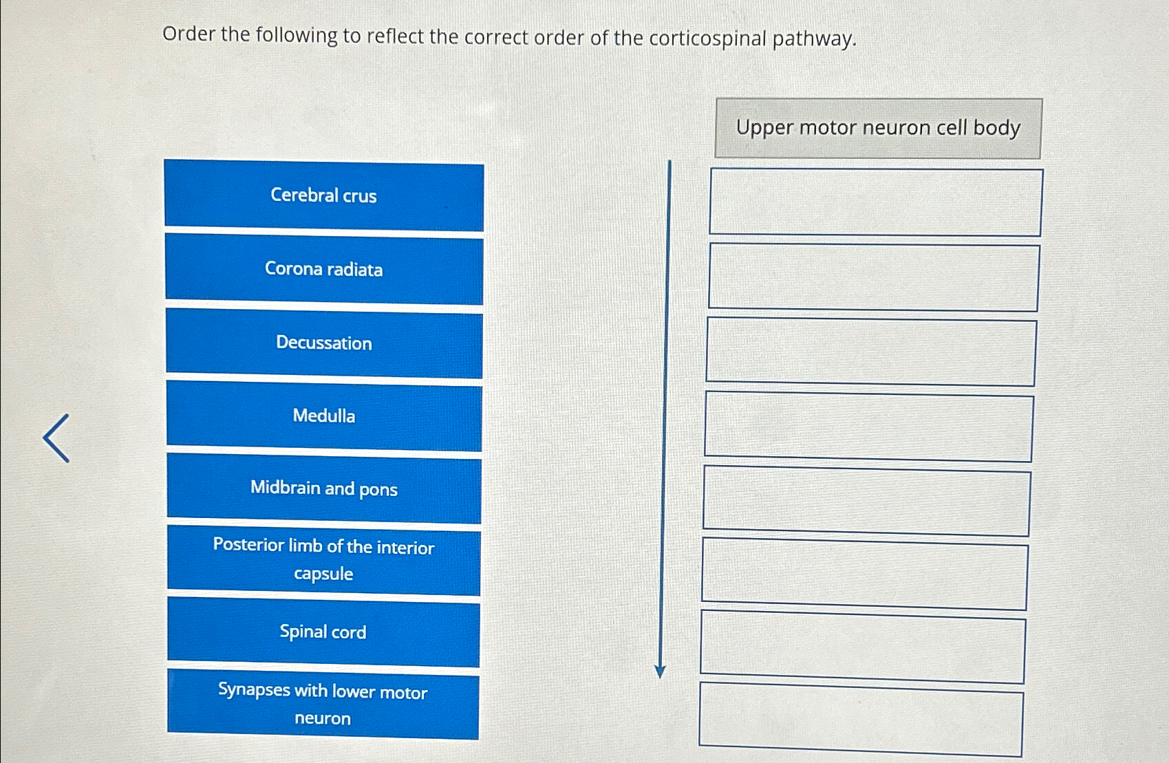 Solved Order the following to reflect the correct order of | Chegg.com