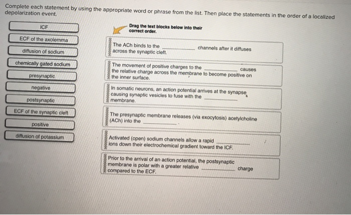 Solved complete each statement by using the appropriate word | Chegg.com