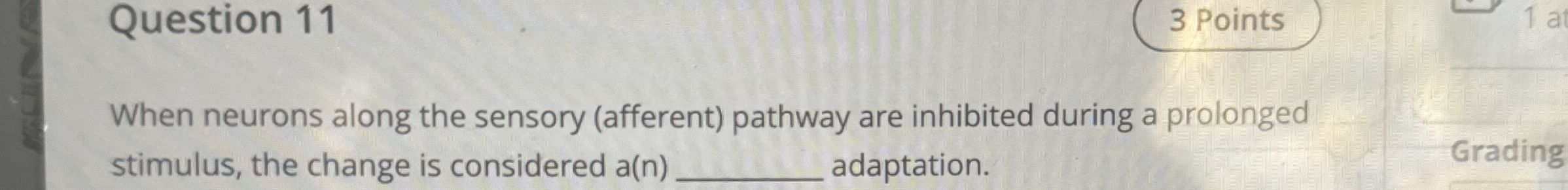Solved When neurons along the sensory (afferent) ﻿pathway | Chegg.com