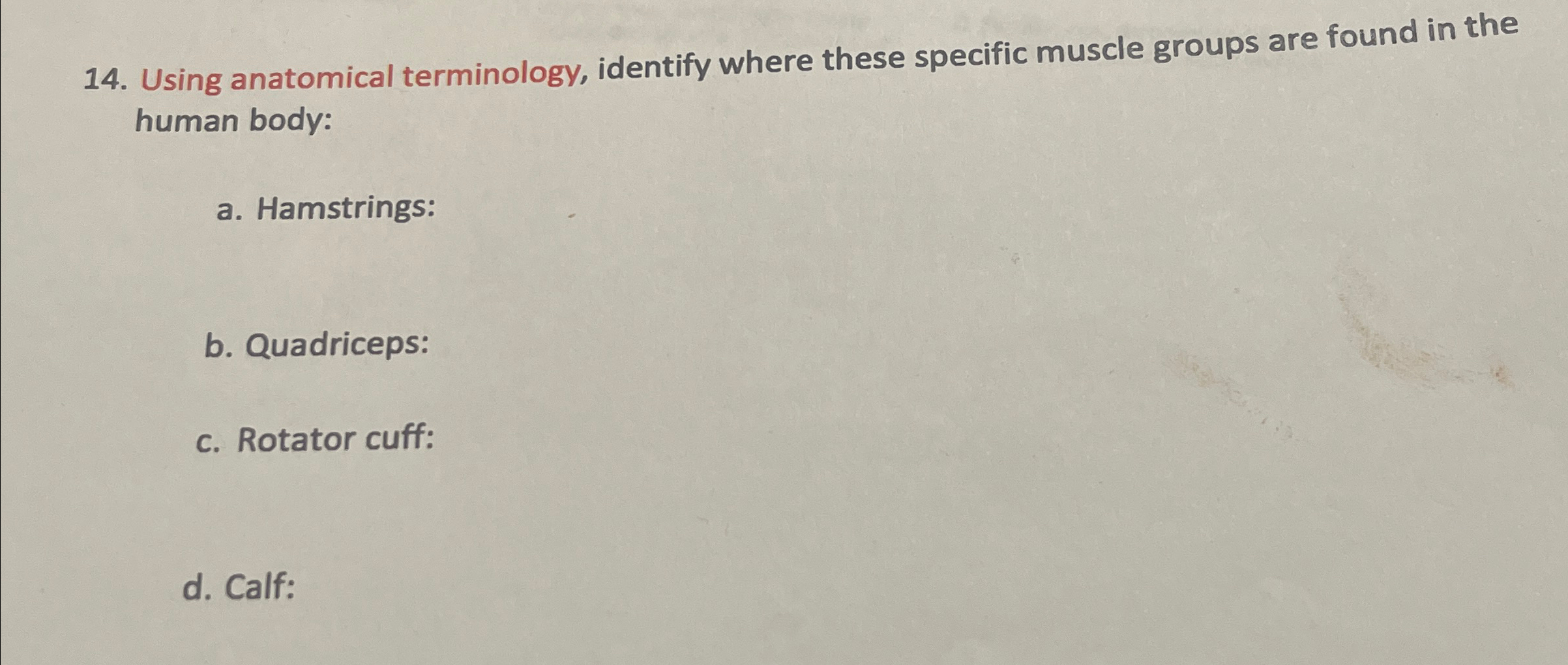 Solved Using anatomical terminology, identify where these | Chegg.com