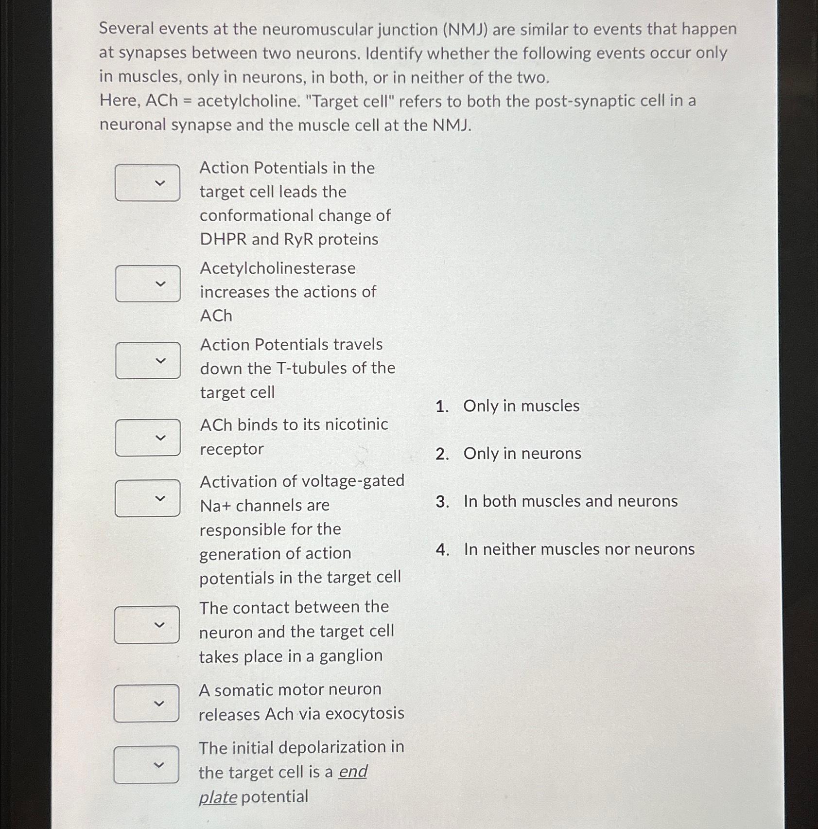 Solved Several events at the neuromuscular junction (NMJ) | Chegg.com