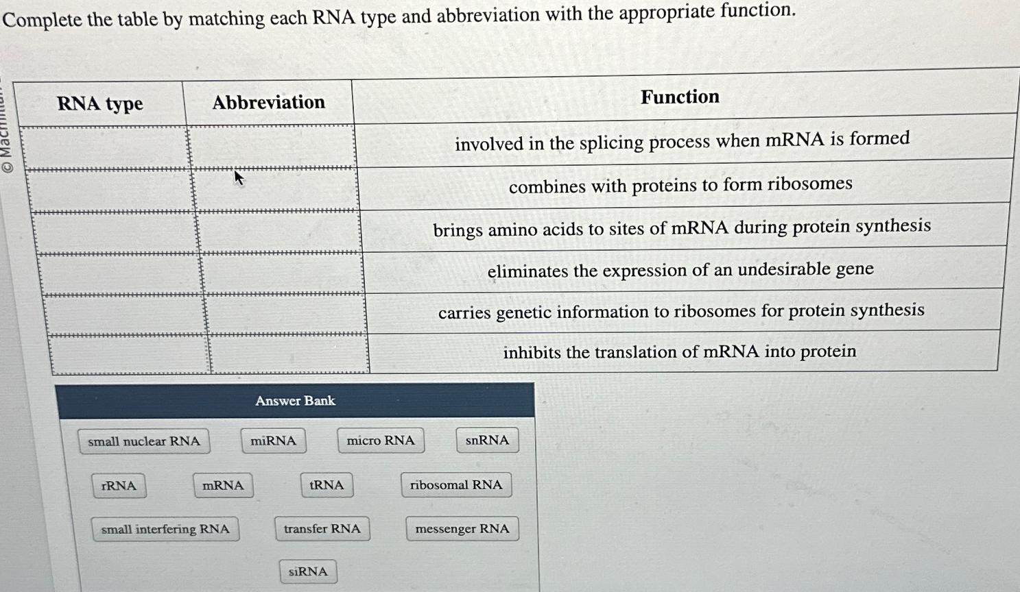 Solved Complete the table by matching each RNA type and | Chegg.com