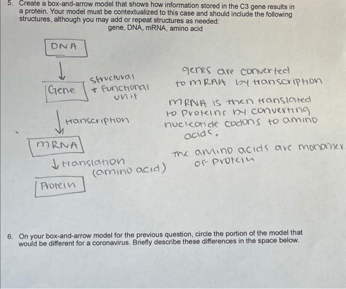 Solved 5. Create a box-and-arrow model that shows how | Chegg.com