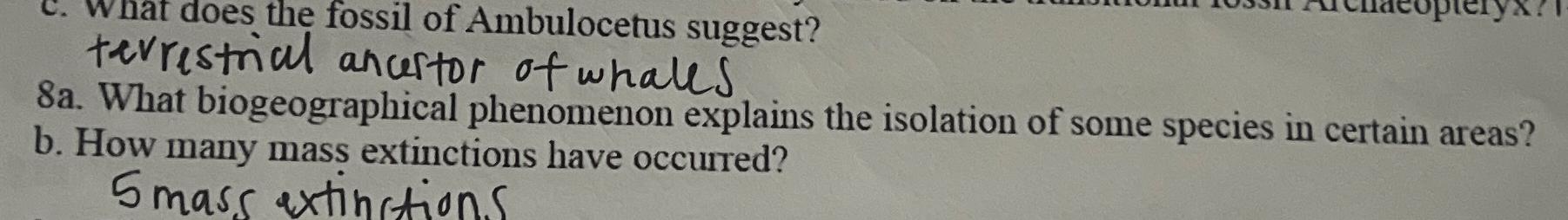 Solved C ﻿wnat Does The Fossil Of Ambulocetus