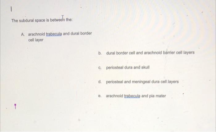 Solved 1 The subdural space is between the: A. arachnoid | Chegg.com