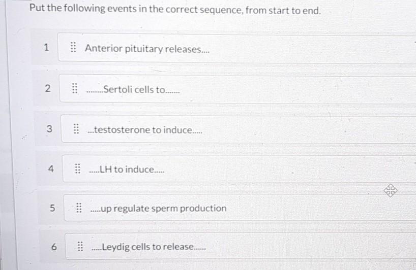 Solved Put the following events in the correct sequence, | Chegg.com