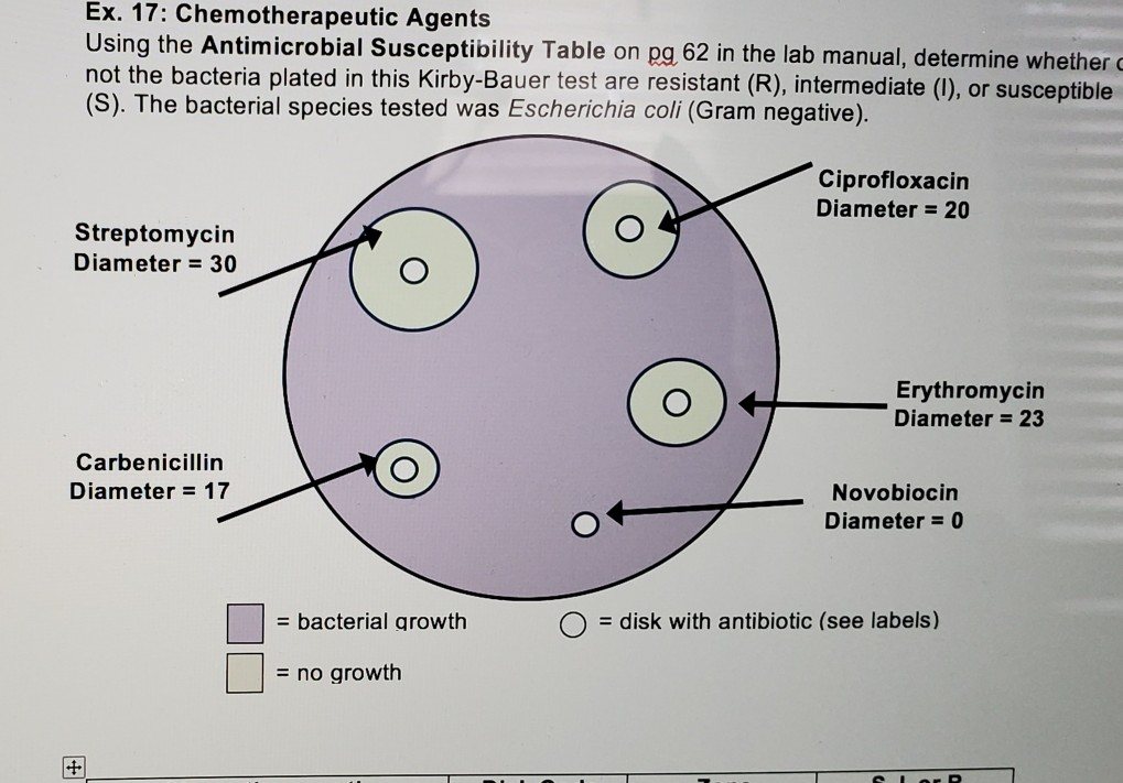Solved Ex. 17: Chemotherapeutic Agents Using the | Chegg.com