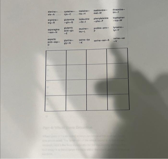 Solved Part 2: Protein Synthesis Exercise DNA: 3′ AG C CGTA | Chegg.com