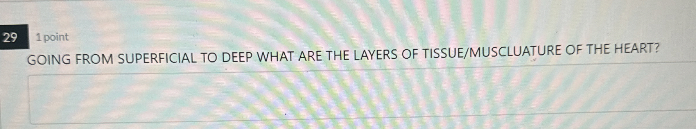Solved 291 ﻿pointGOING FROM SUPERFICIAL TO DEEP WHAT ARE THE | Chegg.com