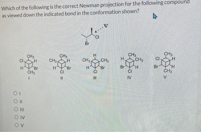 Solved Which of the following is the correct Newman | Chegg.com