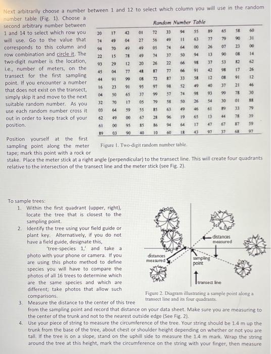 Introduction The point-quarter method was developed | Chegg.com