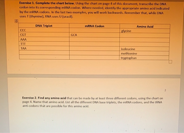 Solved PROTEIN SYNTHESIS EXERCISE DNA color code: Proteins | Chegg.com