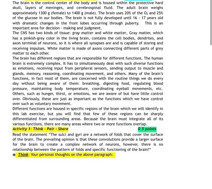 Solved The brain is the control center of the body and is | Chegg.com