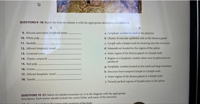 Solved QUESTIONS 9-18: Match the term in column A with the | Chegg.com