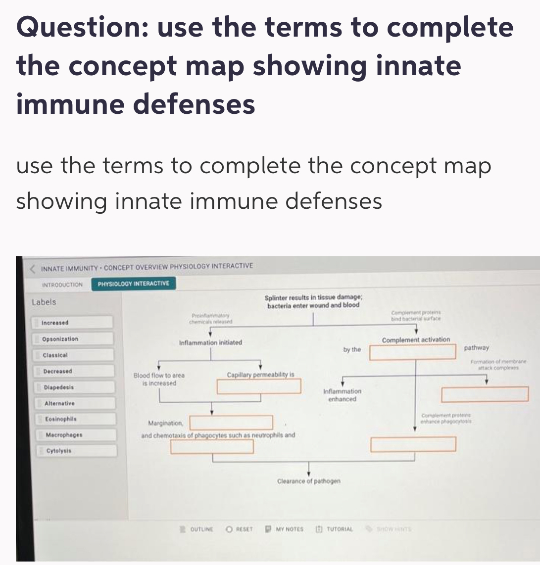 Solved Question: use the terms to complete the concept map | Chegg.com