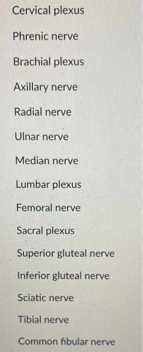 Solved Cervical plexus Phrenic nerve Brachial plexus | Chegg.com
