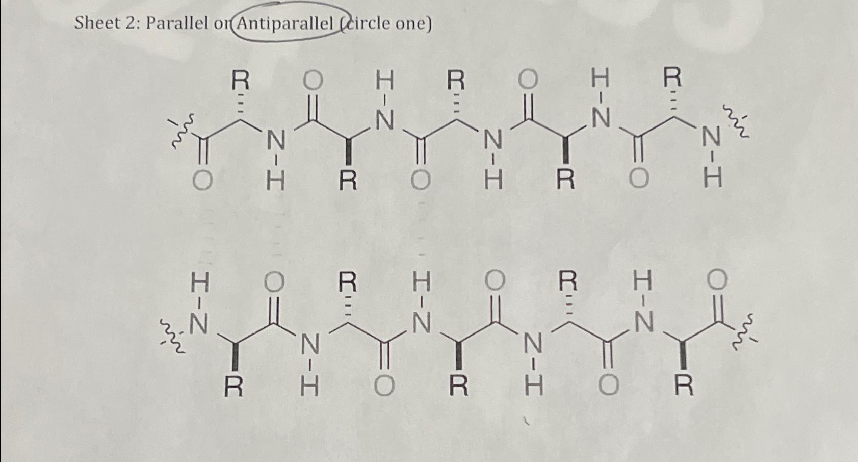 Solved Sheet 2: Parallel or Antiparallel (circle one)draw | Chegg.com