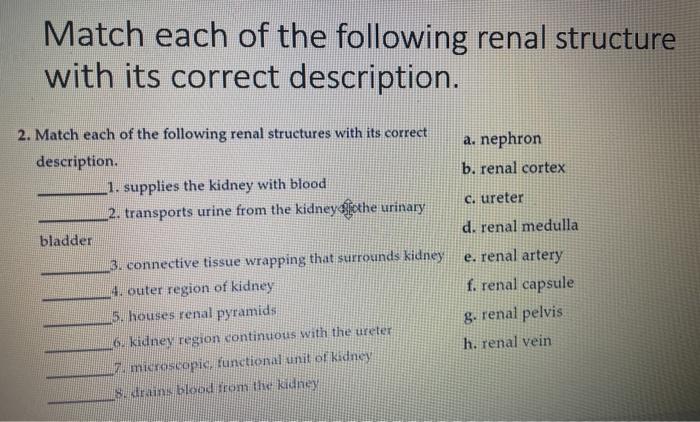 Solved a. b. Pre-Lab Activity 1: Exploring the Organs of the | Chegg.com