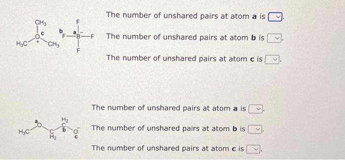 Solved The number of unshared pairs at atom a is The number | Chegg.com