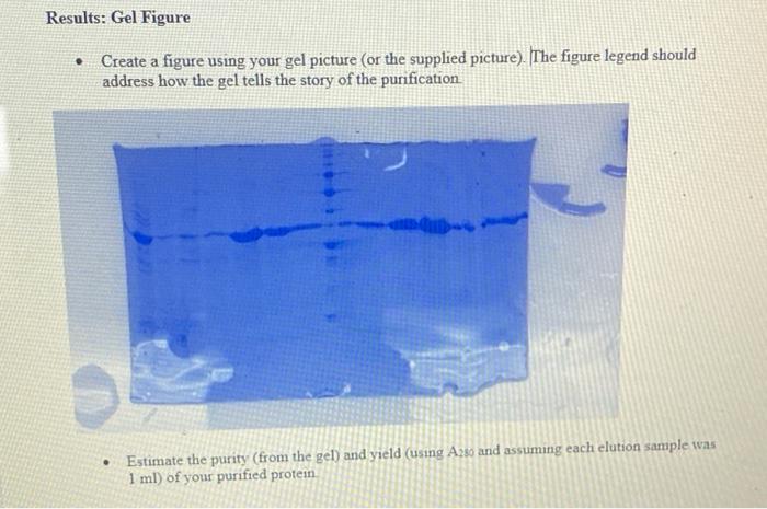 kesults: Gel Figure - Create a figure using your gel | Chegg.com
