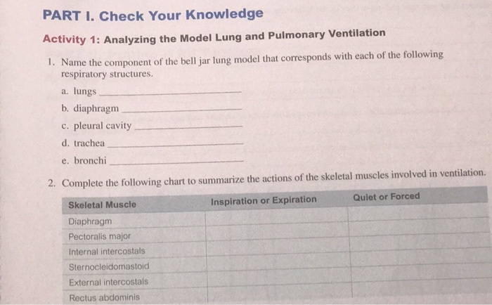 Solved PART I. Check Your Knowledge Activity 1: Analyzing | Chegg.com