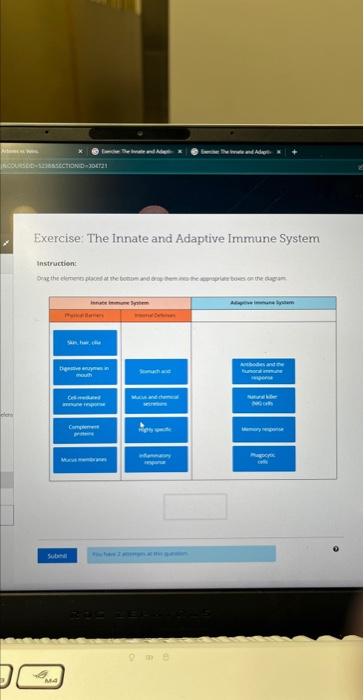 Solved Exercise: The Innate and Adaptive Immune System | Chegg.com