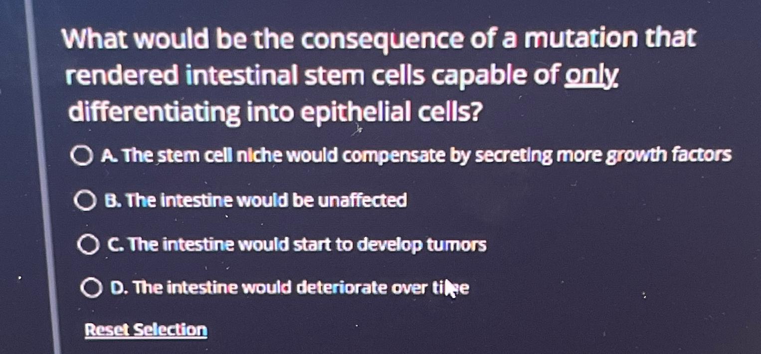 Solved What would be the consequence of a mutation that | Chegg.com