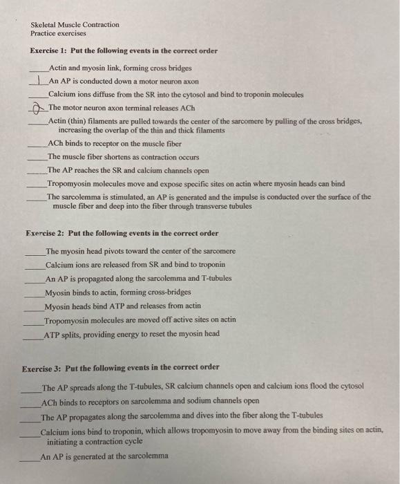 Solved Skeletal Muscle Contraction Practice exercises | Chegg.com