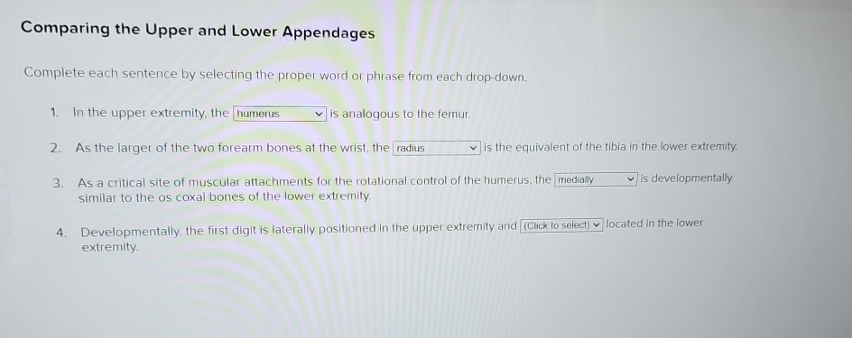 Solved Comparing the Upper and Lower AppendagesComplete each | Chegg.com