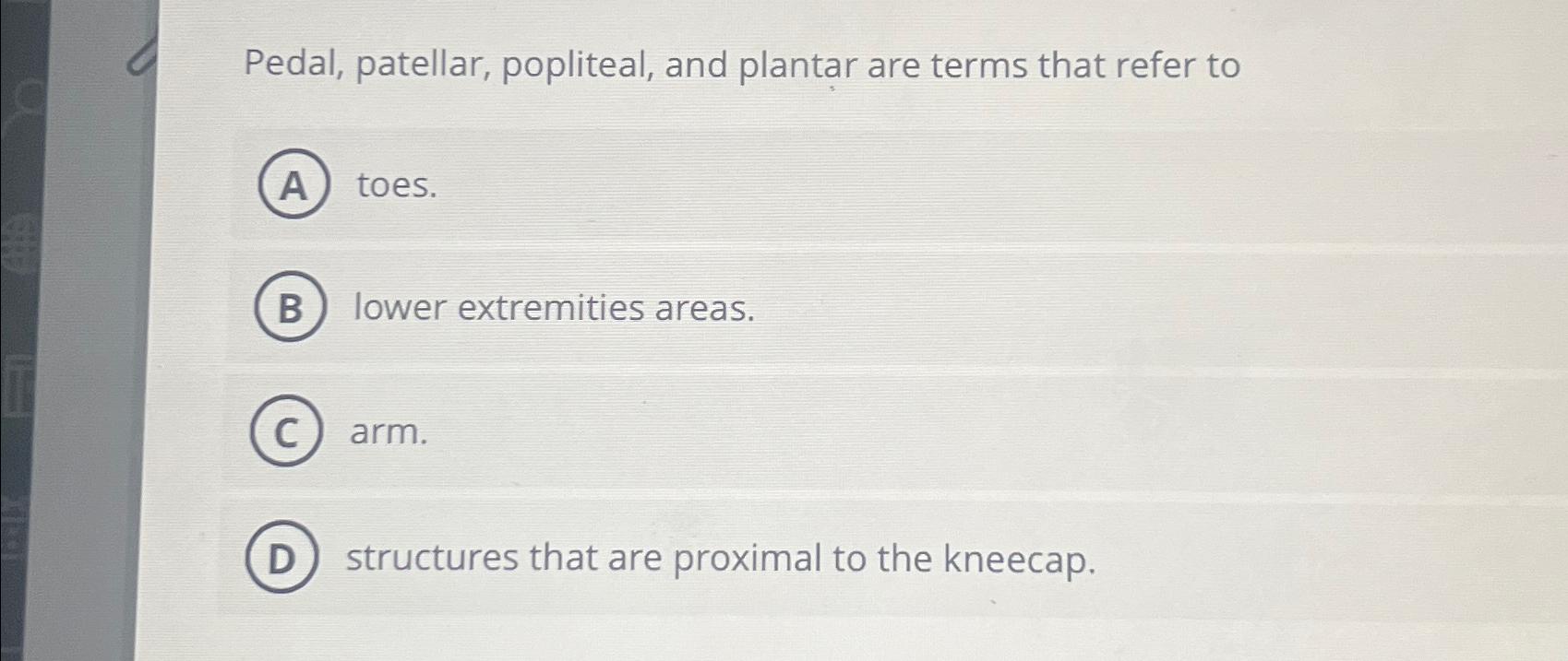 Solved Pedal, patellar, popliteal, and plantar are terms | Chegg.com