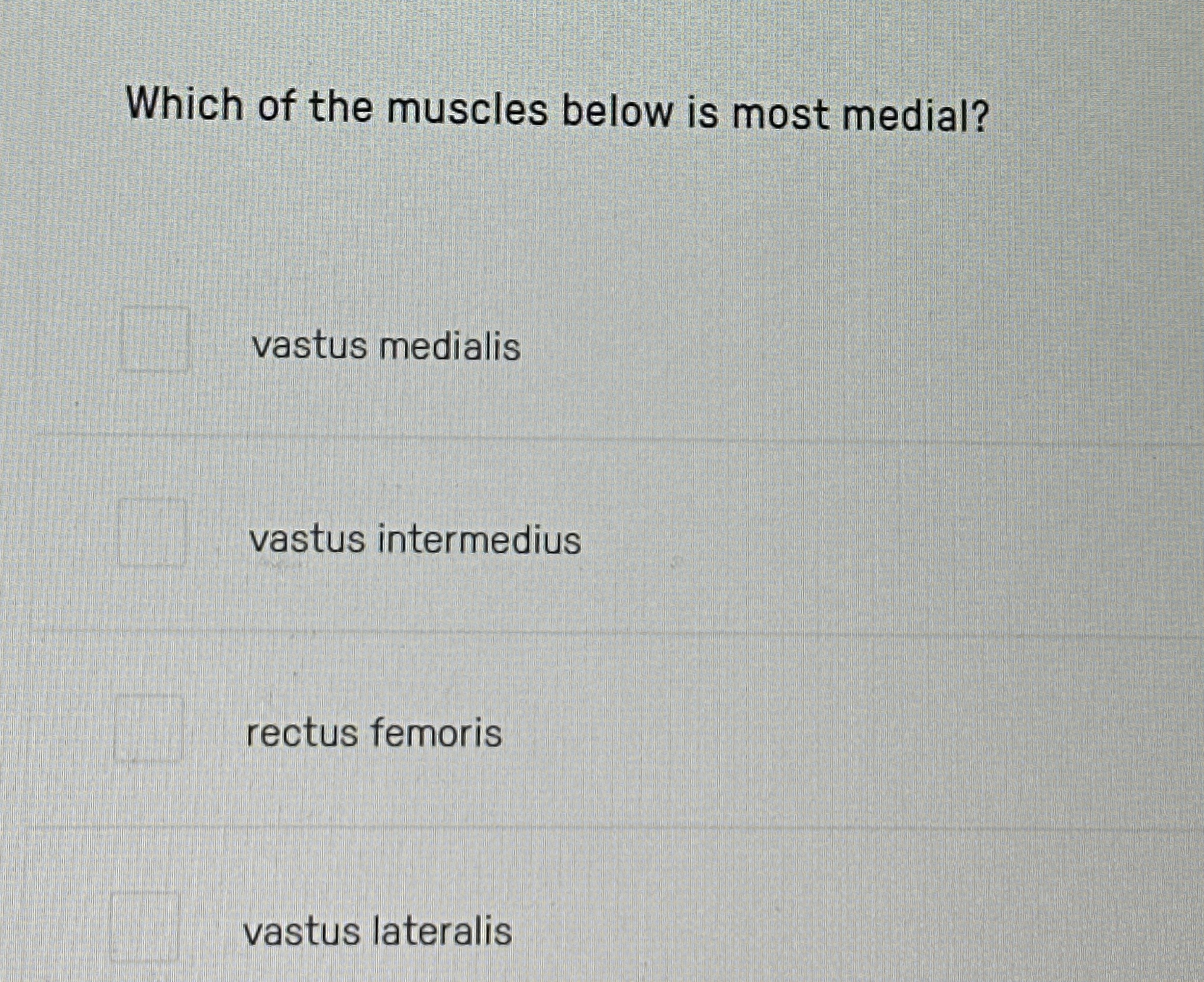 Solved Which of the muscles below is most medial?vastus | Chegg.com