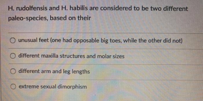 Solved Paranthropus boisei had very large molar teeth and | Chegg.com