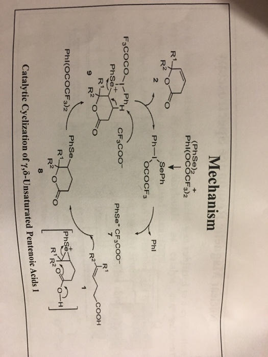 Solved Mechanism (PhSe)2 Phl(OCOCF3)2 + R1 R2 SePh Ph-I Phl | Chegg.com
