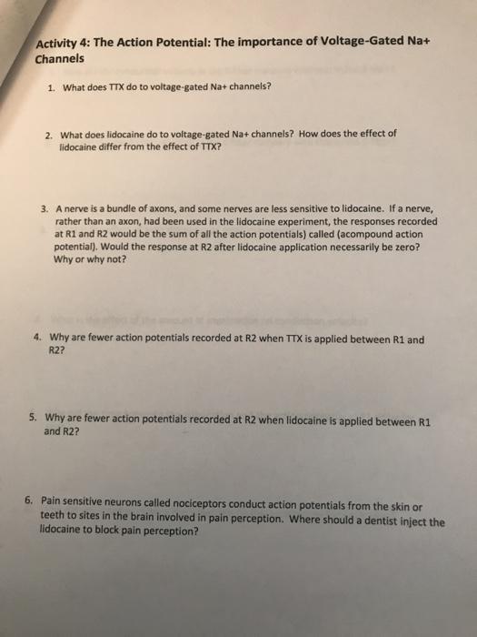 Solved Activity 4: The Action Potential: The importance of | Chegg.com