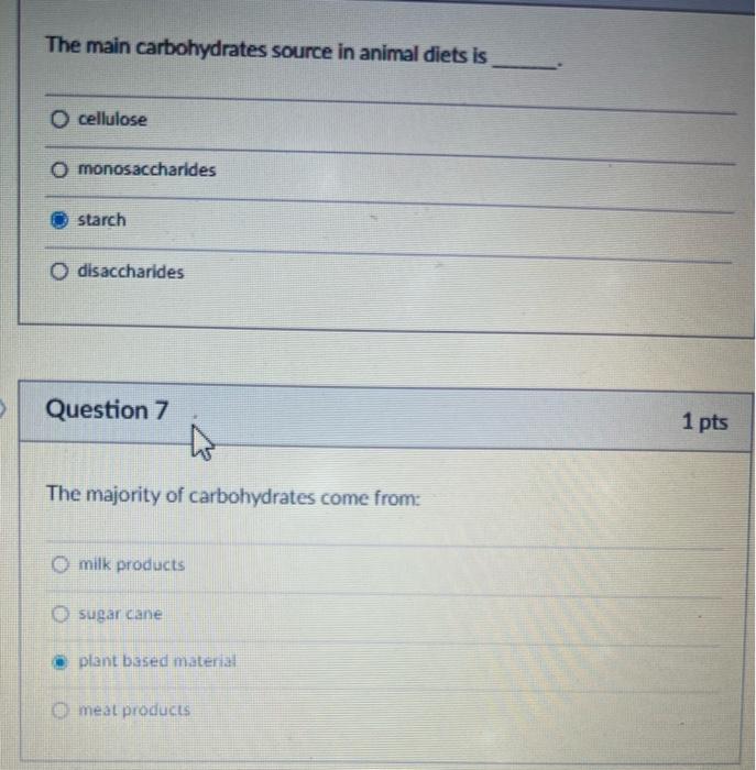 Solved The main carbohydrates source in animal diets is | Chegg.com