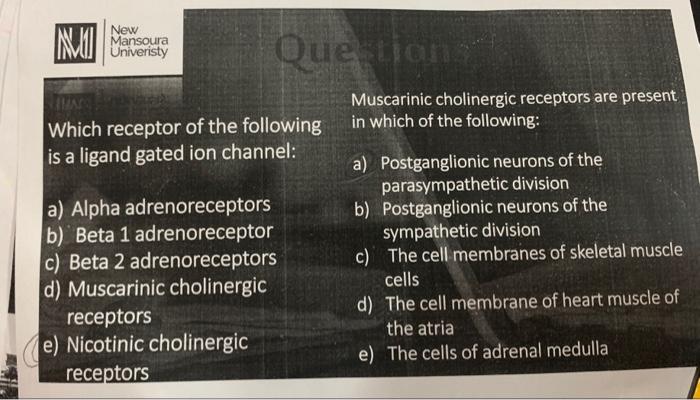 Muscarinic cholinergic receptors are present Which | Chegg.com