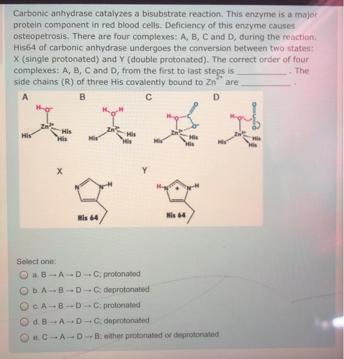 Solved Carbonic anhydrase catalyzes a bisubstrate reaction. | Chegg.com