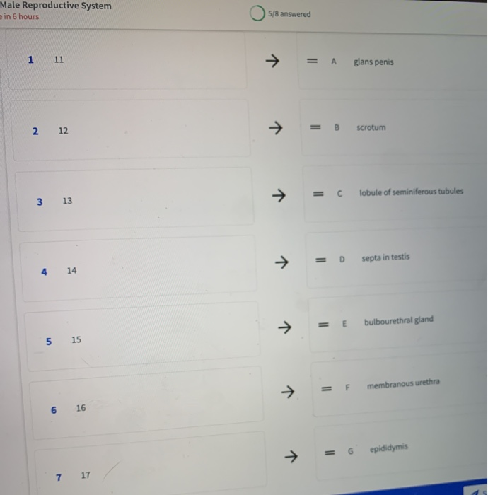 Solved Homework. Unanswered Match the term to the indicated | Chegg.com