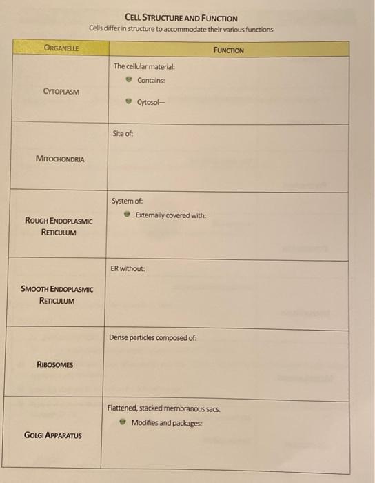 Solved QUESTIONS 1 Describe 2 functions of structure '1 in | Chegg.com