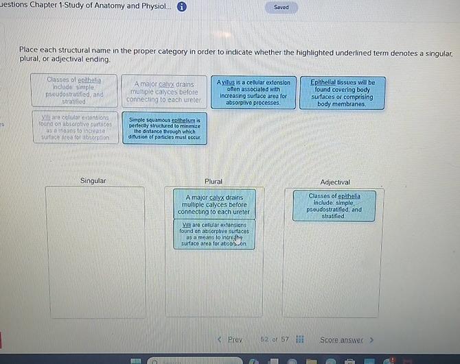 Solved Jestions Chapter 1-Study of Anatomy and Physiol.Place | Chegg.com