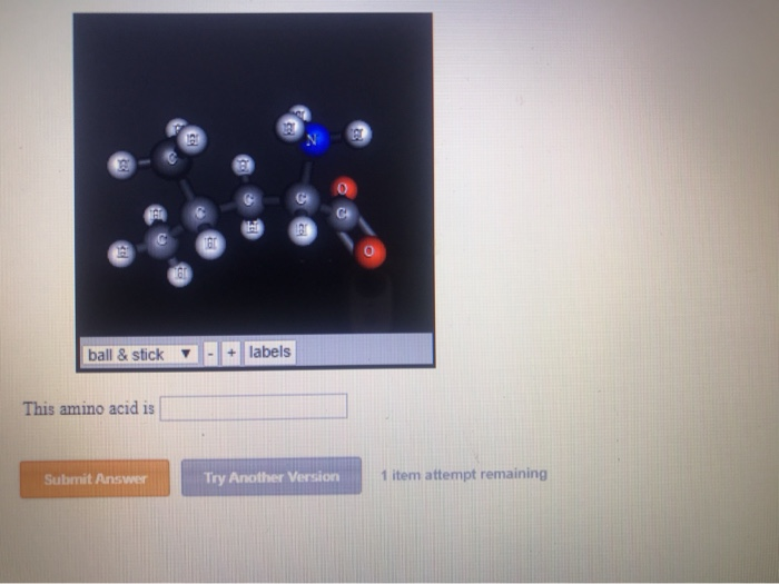 Solved ball & sticky - + labels This amino acid is Submit | Chegg.com