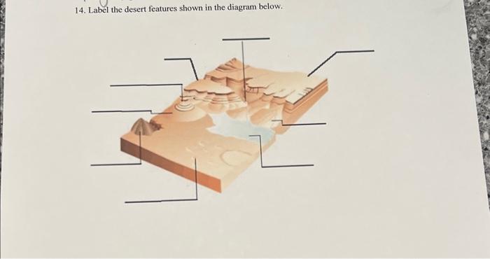 Solved 14. Label the desert features shown in the diagram | Chegg.com