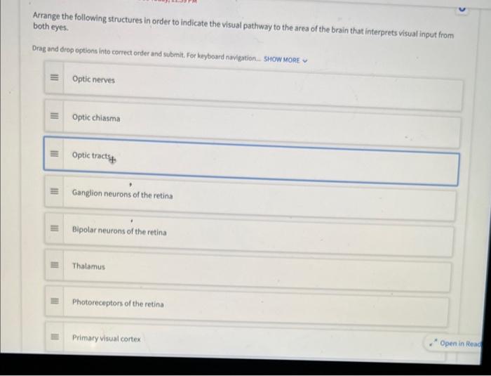 Solved Arrange the following structures in order to indicate | Chegg.com